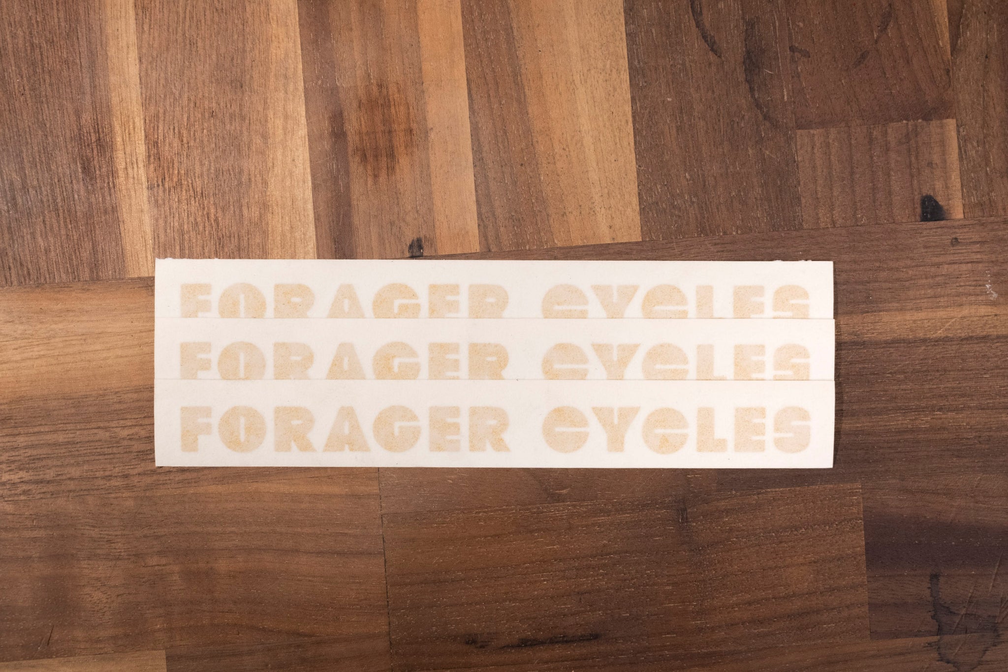 All – Forager Cycles